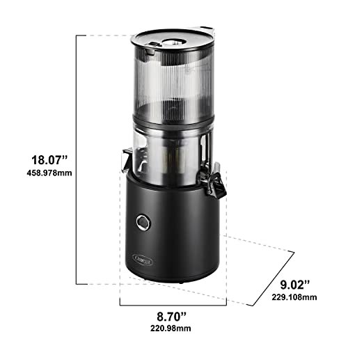 Discover the Omega Effortless Batch Cold Press Juicer - Is It Worth It ...